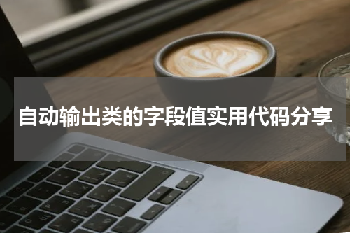 自动输出类的字段值实用代码分享