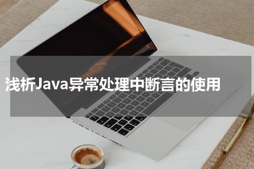 浅析java异常处理中断言的使用 