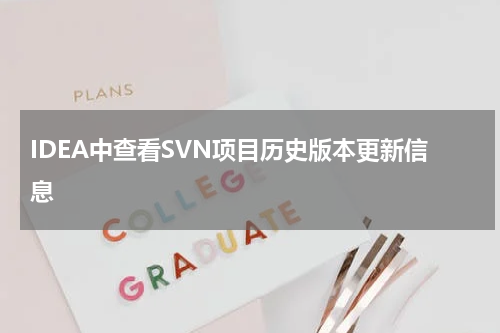 Idea中查看svn项目历史版本更新信息